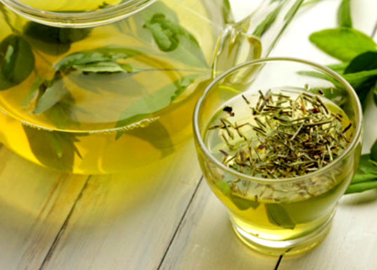 Chá Verde, estimula o metabolismo e incentiva a quebra das gorduras